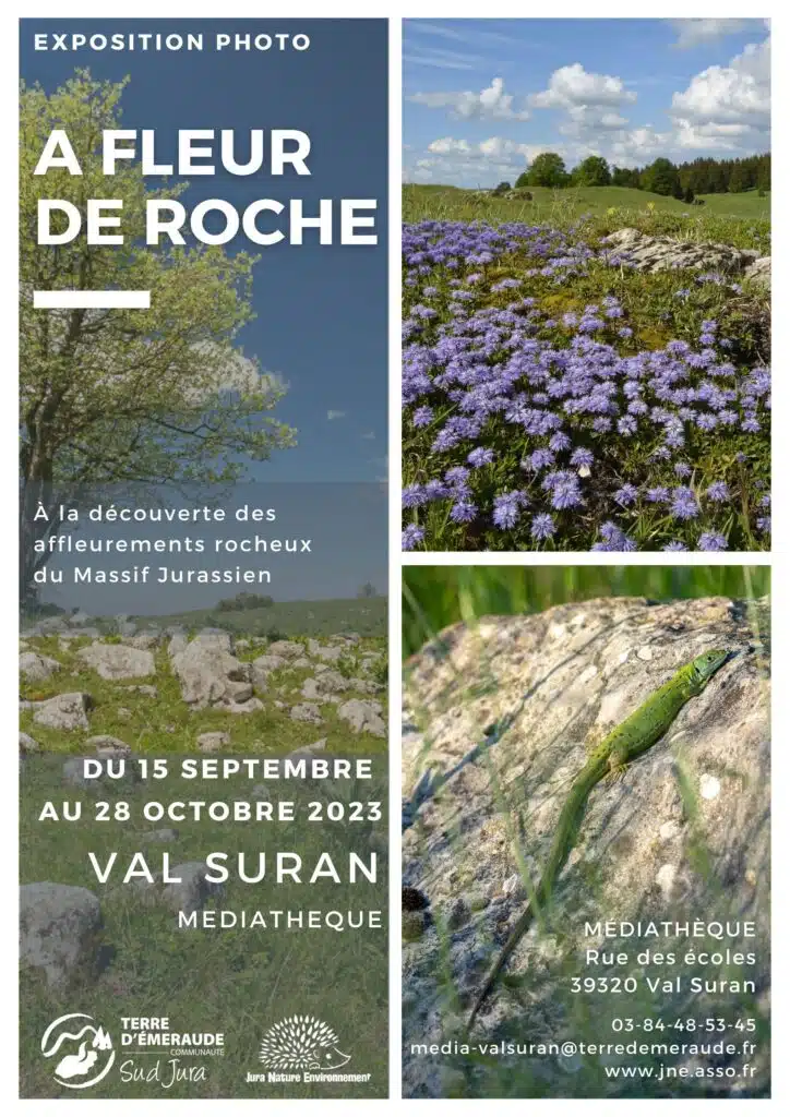 Exposition photo "A fleur de roches" - Terre d'Émeraude Tourisme